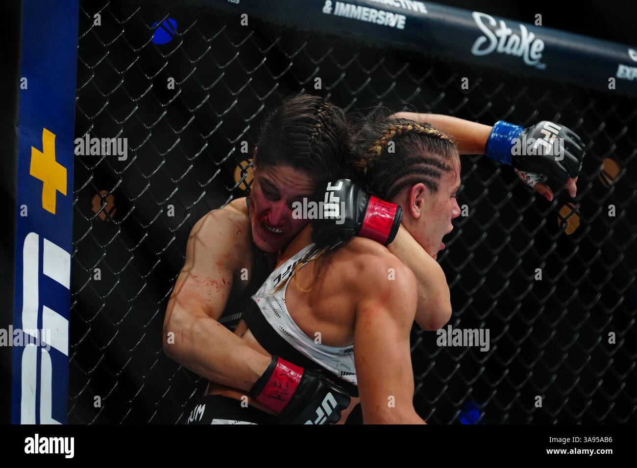 March 29, 2025, Mexico City, Mexico, Las Vegas, Nv, United States ...