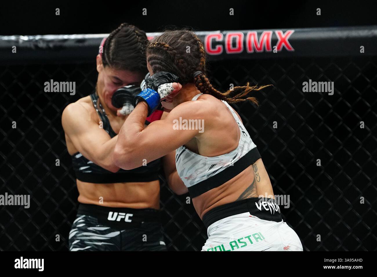 Mexico City, Mexico. March 29, 2025, Mexico City, Mexico, Las Vegas, Nv ...