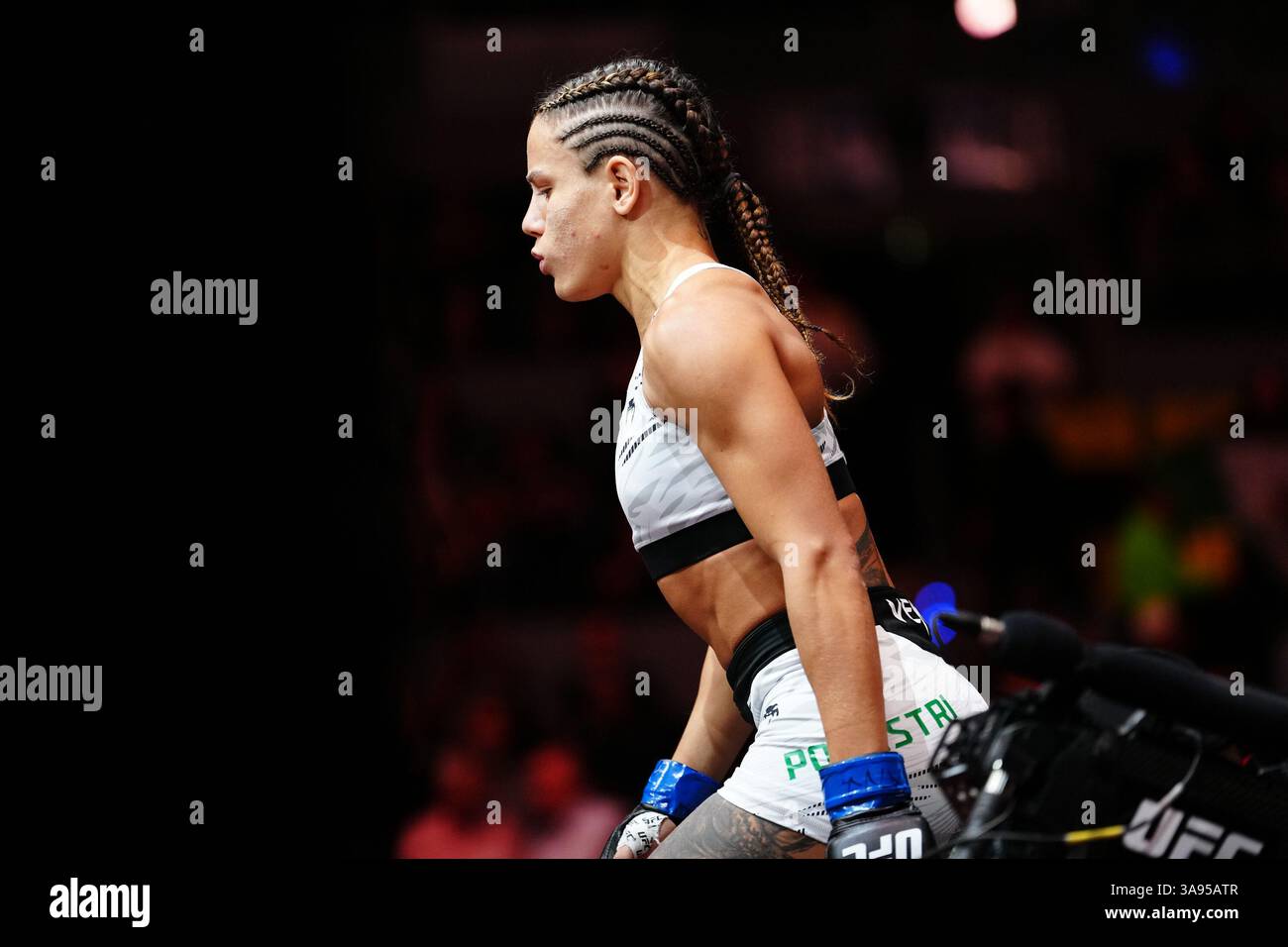 March 29, 2025, Mexico City, Mexico, Las Vegas, Nv, United States ...