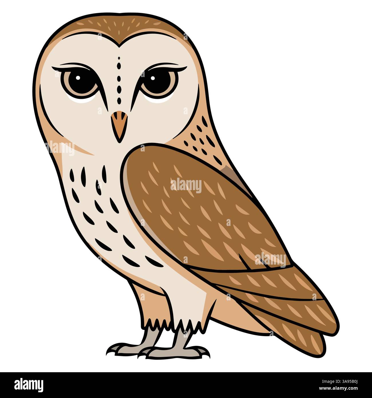 Barn owl vector illustration, Cute wild animal with white face. Ideal ...