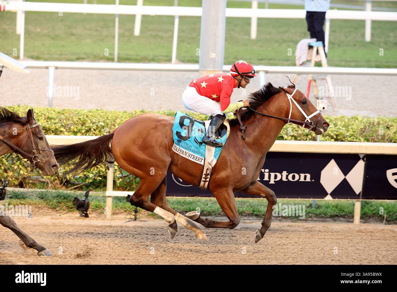 Hallandale, United States Of America. 29th Mar, 2025. HALLANDALE ...