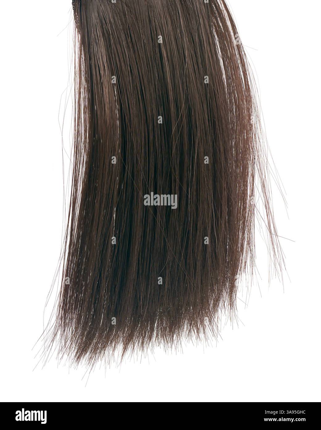 close-up of section of darker brown hair isolated white background ...