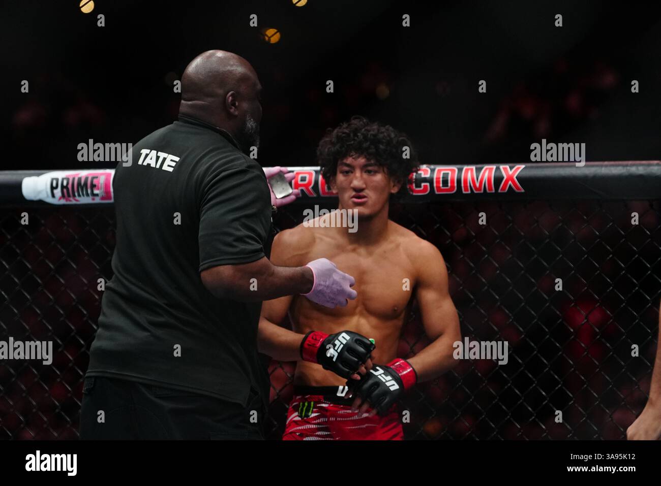 March 29, 2025, Mexico City, Mexico, Las Vegas, Nv, United States: Raul ...