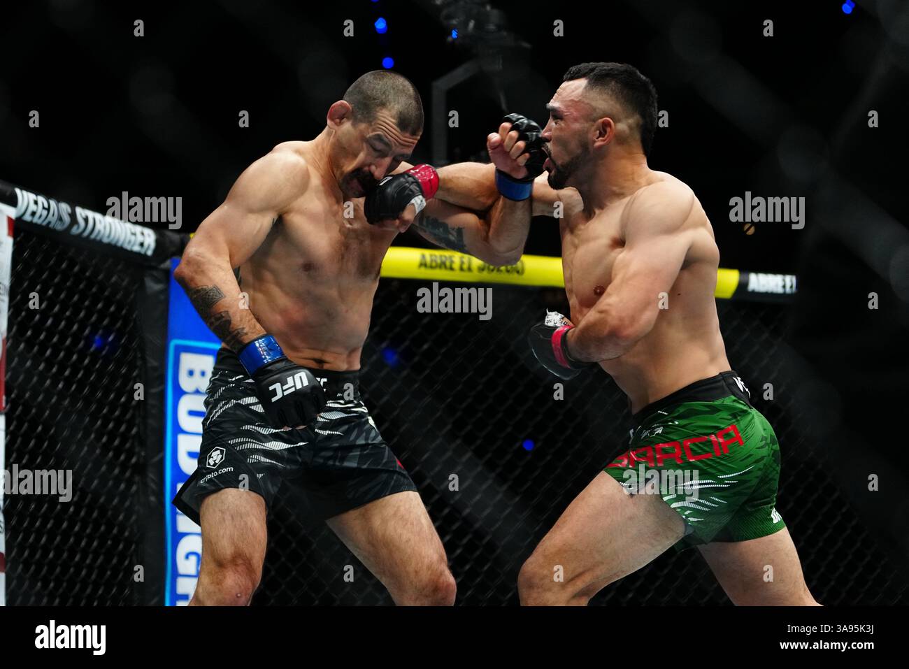 Mexico City, Mexico, United States. 29th Mar, 2025. MEXICO CITY, MEXICO ...