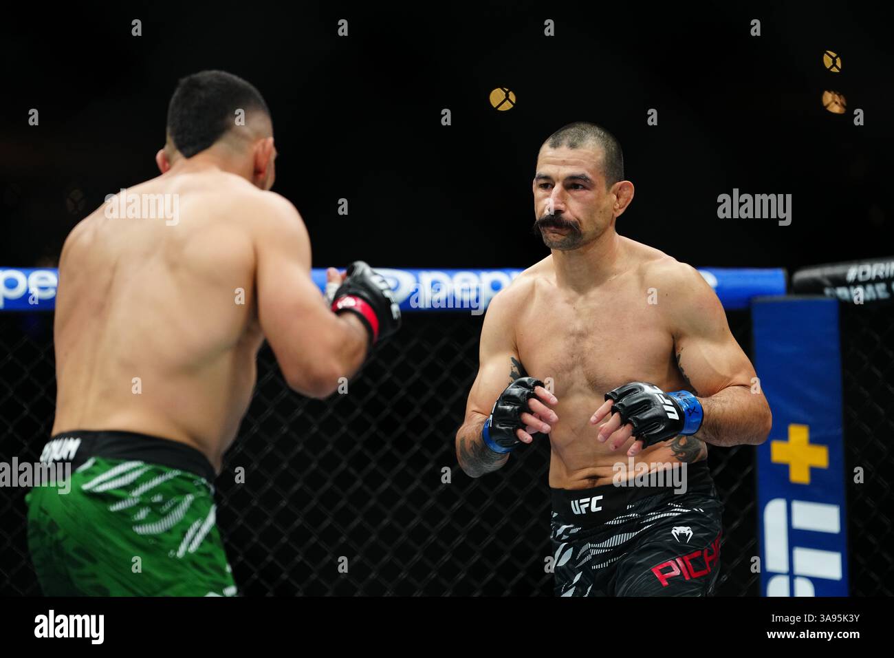 Mexico City, Mexico, United States. 29th Mar, 2025. MEXICO CITY, MEXICO ...