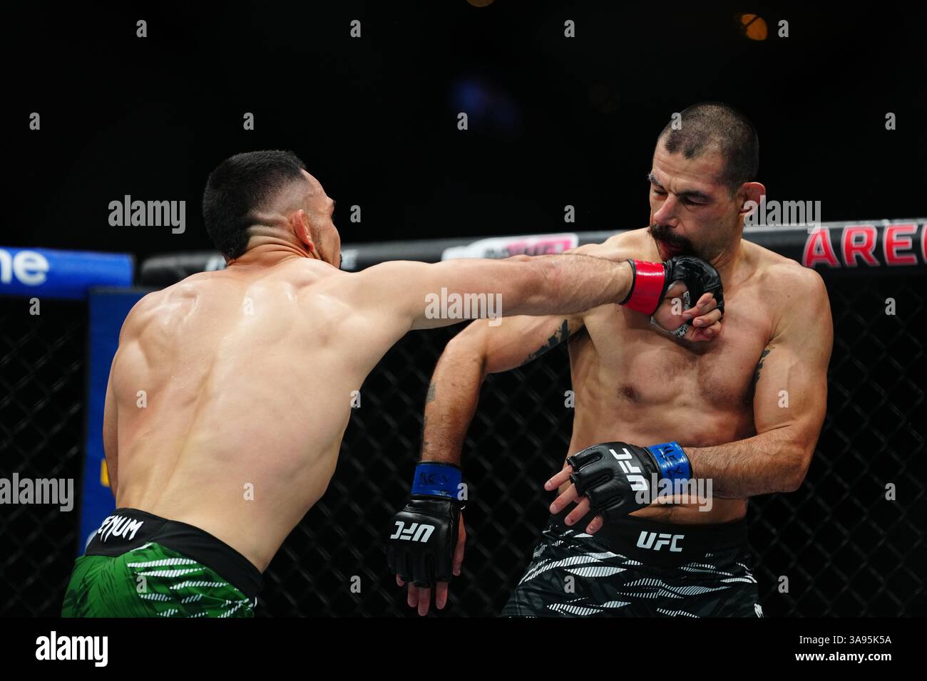 Mexico City, Mexico, United States. 29th Mar, 2025. MEXICO CITY, MEXICO ...