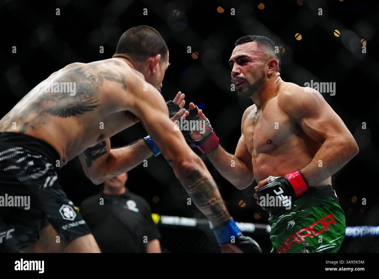 MEXICO CITY, MEXICO - MARCH 29: Rafa Garcia and Vinc Pichel meet in the ...