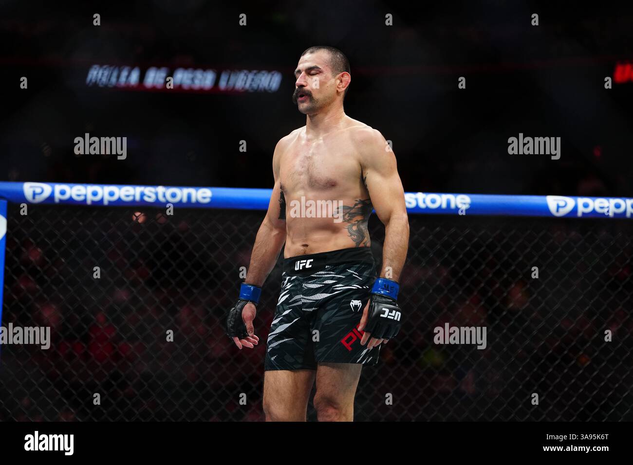 Mexico City, Mexico, United States. 29th Mar, 2025. MEXICO CITY, MEXICO ...