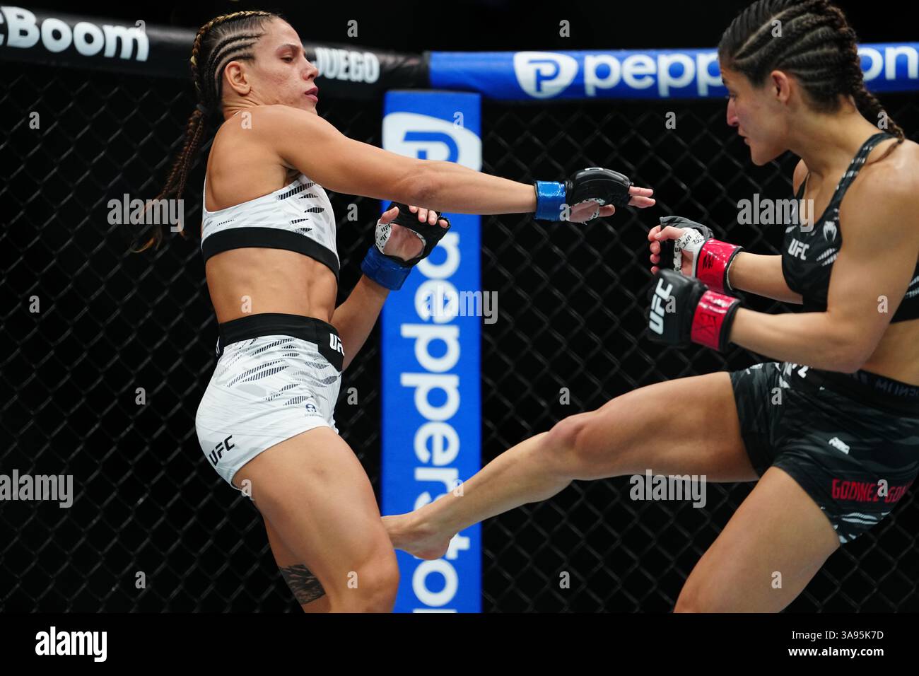 Mexico City, Mexico, United States. 29th Mar, 2025. MEXICO CITY, MEXICO ...