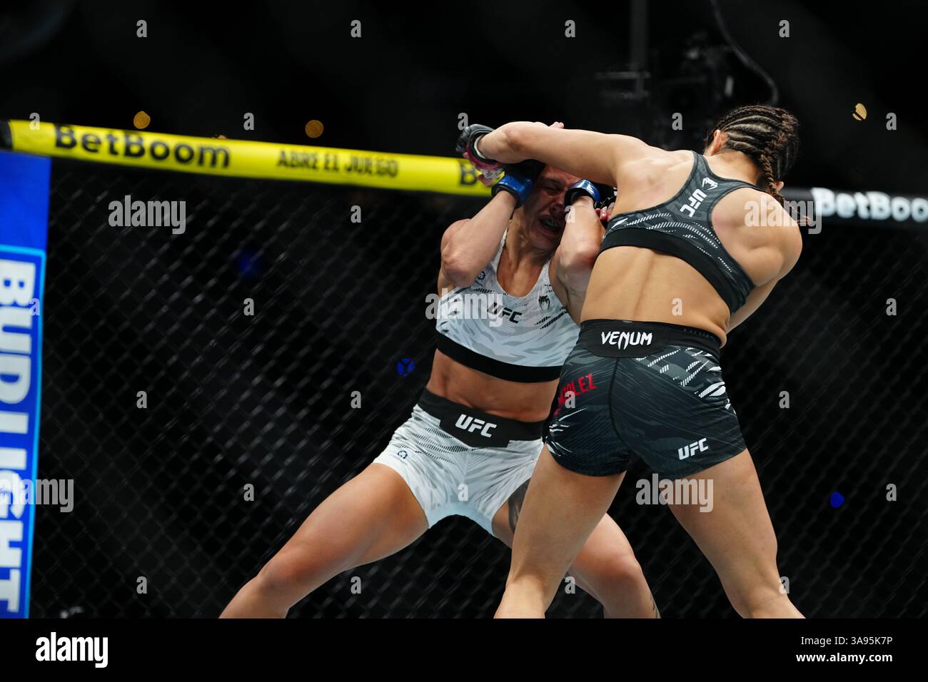 Mexico City, Mexico, United States. 29th Mar, 2025. MEXICO CITY, MEXICO ...