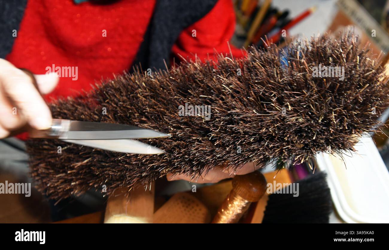 FILED - 05 March 2025, Saxony-Anhalt, Naumburg: In her small brush ...