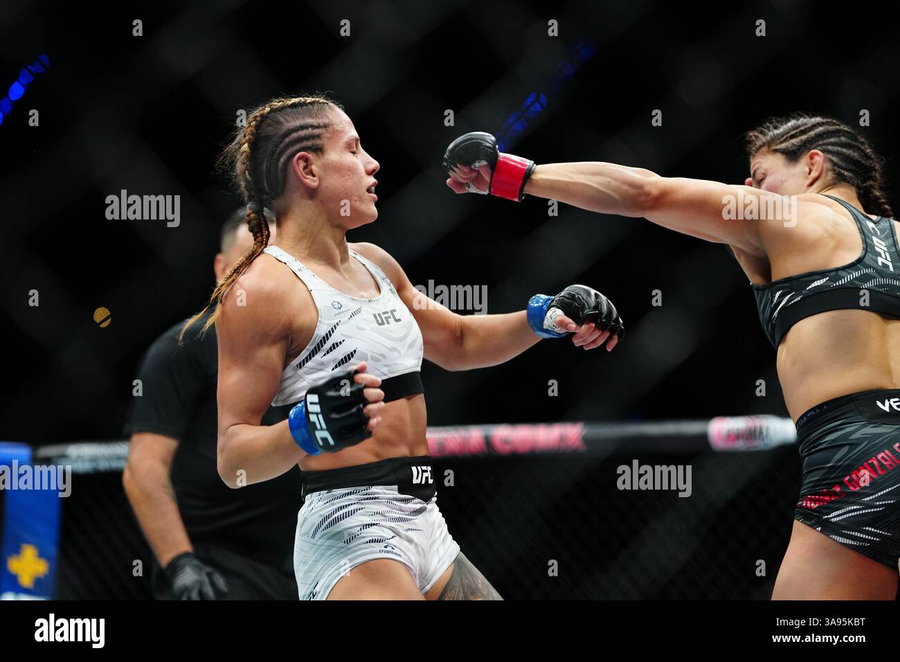 Mexico City, Mexico, United States. 29th Mar, 2025. MEXICO CITY, MEXICO ...