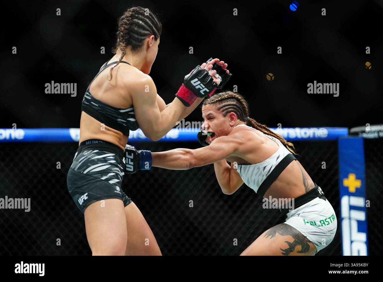 Mexico City, Mexico, United States. 29th Mar, 2025. MEXICO CITY, MEXICO ...