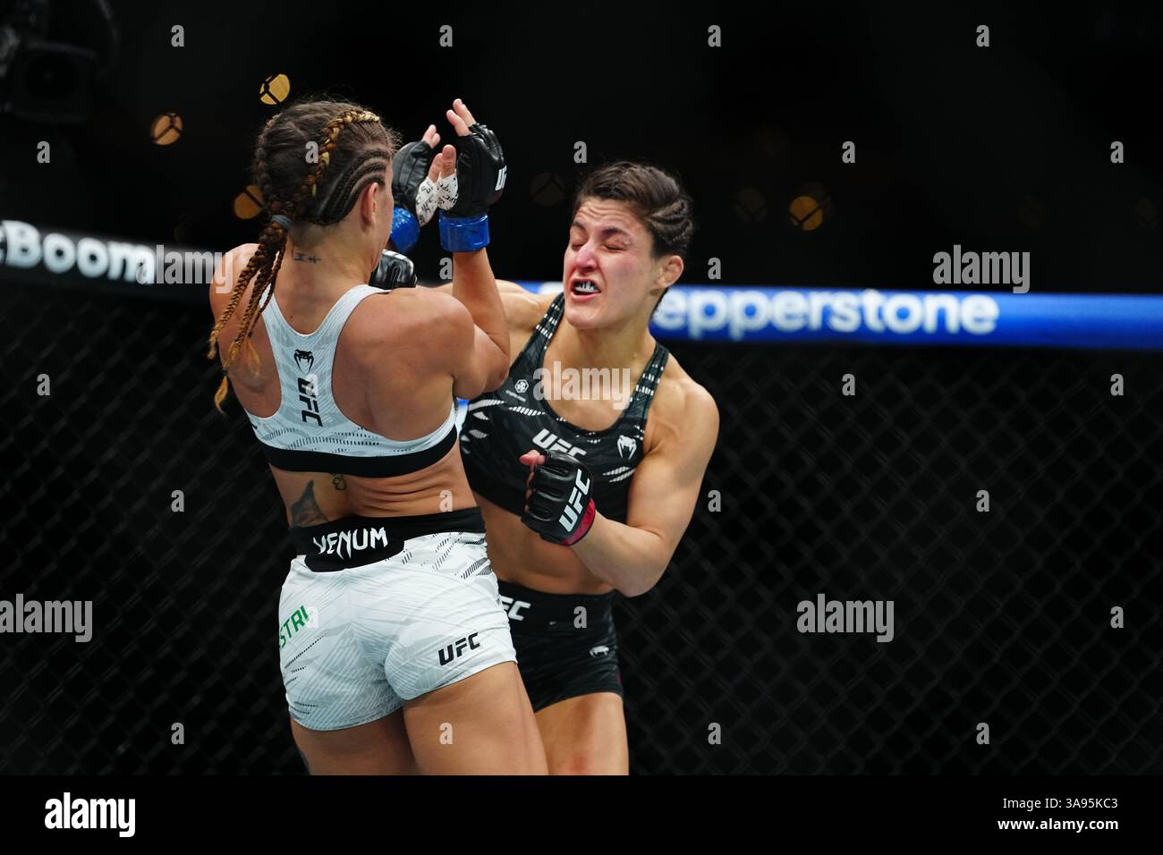 Mexico City, Mexico, United States. 29th Mar, 2025. MEXICO CITY, MEXICO ...