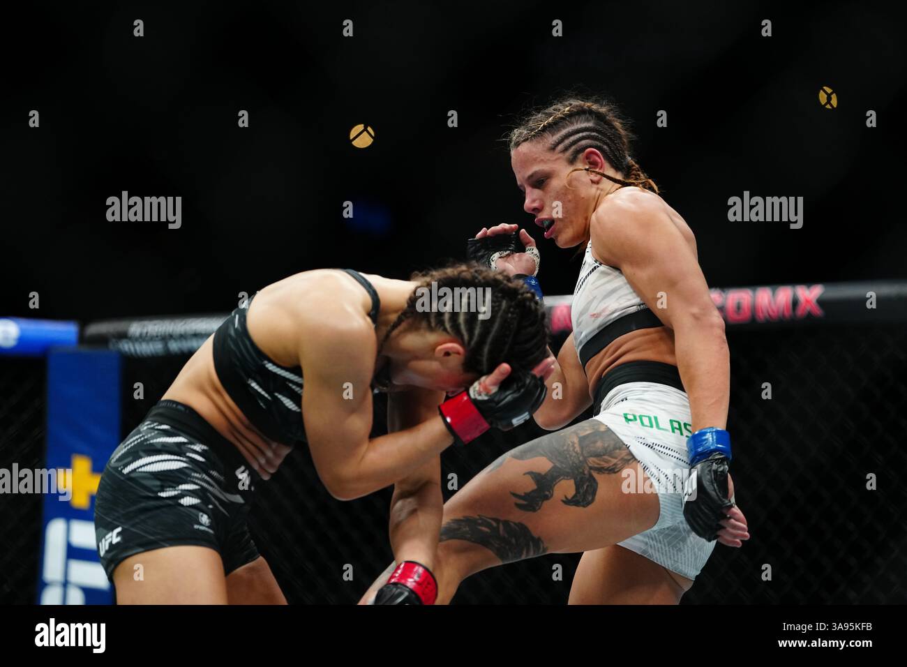 Mexico City, Mexico, United States. 29th Mar, 2025. MEXICO CITY, MEXICO ...