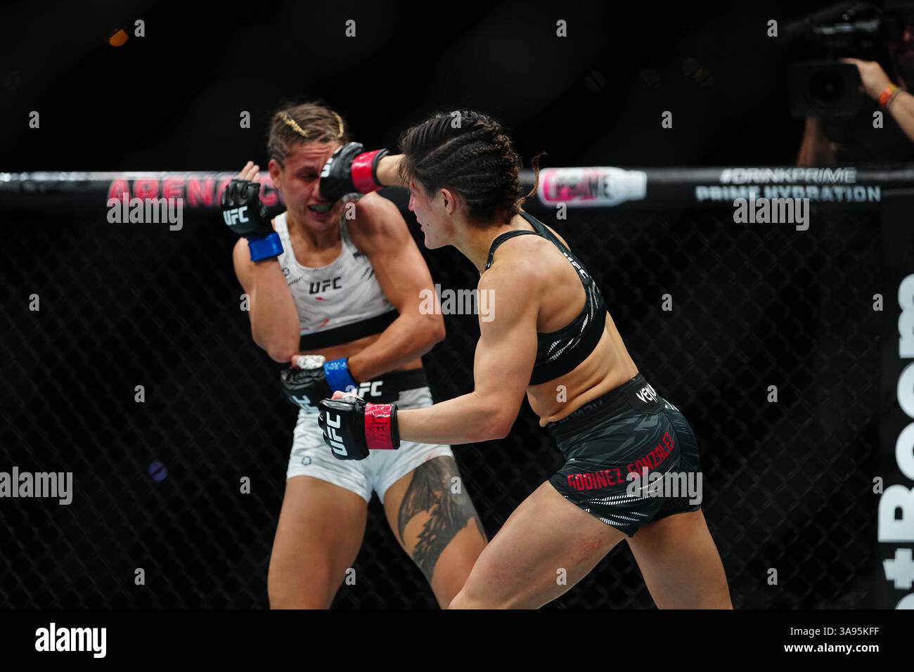 Mexico City, Mexico, United States. 29th Mar, 2025. MEXICO CITY, MEXICO ...