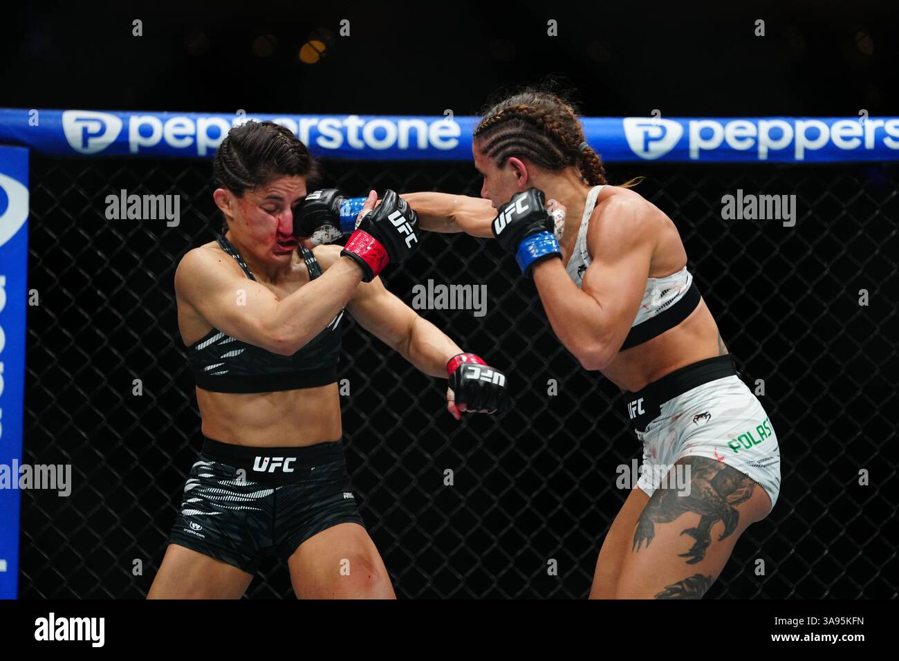 Mexico City, Mexico, United States. 29th Mar, 2025. MEXICO CITY, MEXICO ...