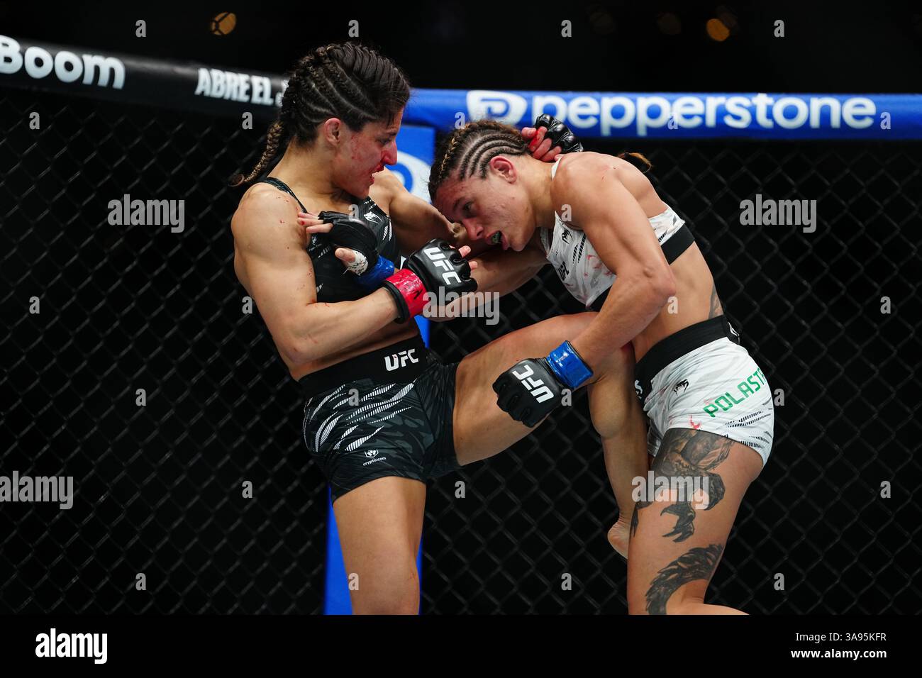 Mexico City, Mexico, United States. 29th Mar, 2025. MEXICO CITY, MEXICO ...