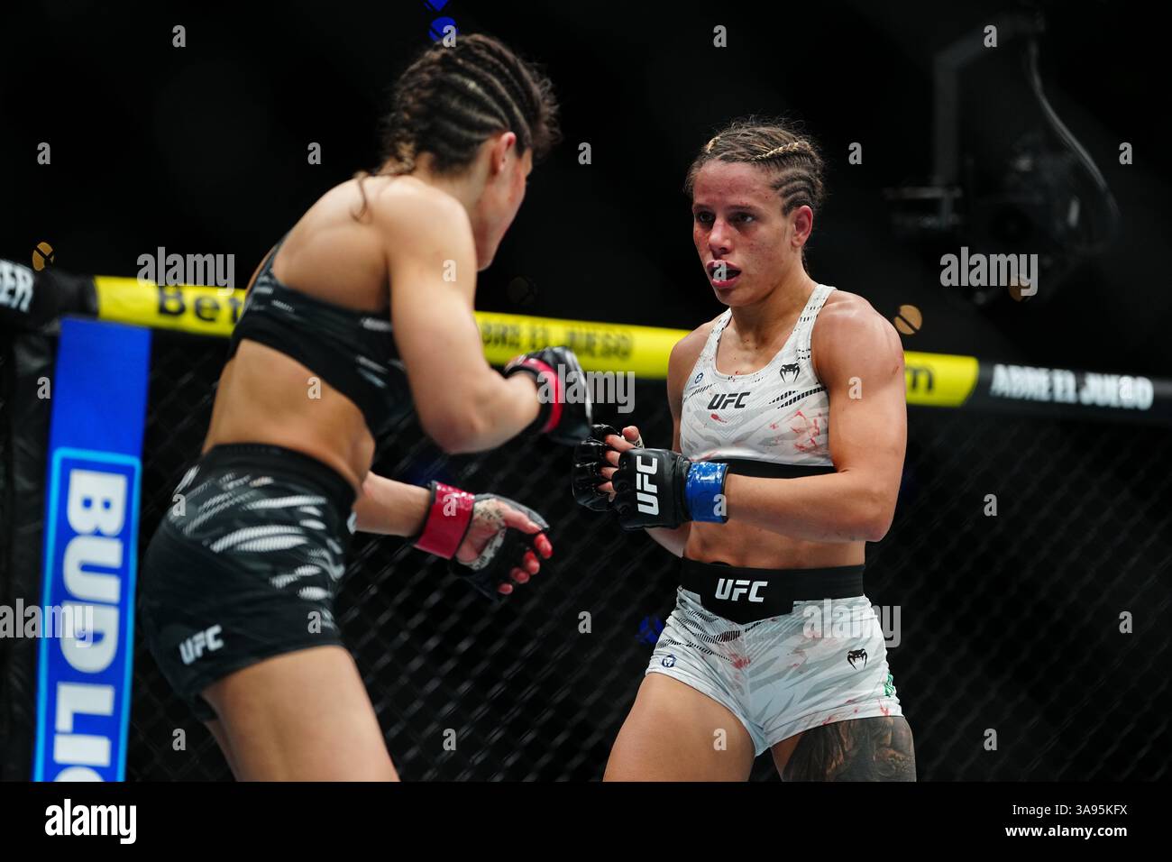 Mexico City, Mexico, United States. 29th Mar, 2025. MEXICO CITY, MEXICO ...