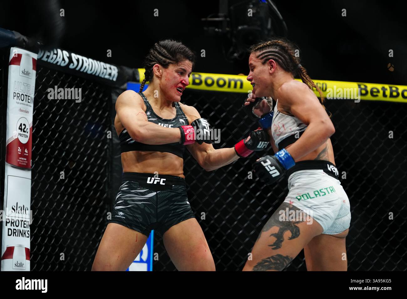 Mexico City, Mexico, United States. 29th Mar, 2025. MEXICO CITY, MEXICO ...