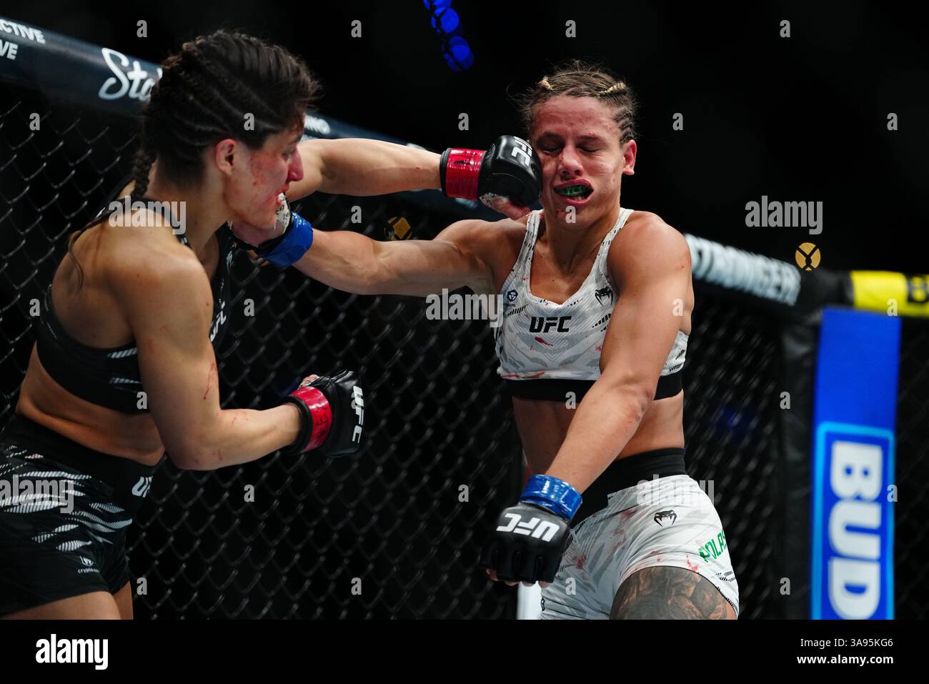 Mexico City, Mexico, United States. 29th Mar, 2025. MEXICO CITY, MEXICO ...