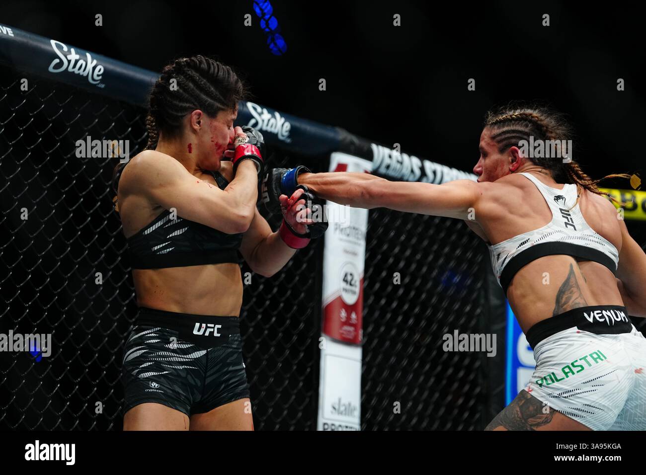 Mexico City, Mexico, United States. 29th Mar, 2025. MEXICO CITY, MEXICO ...