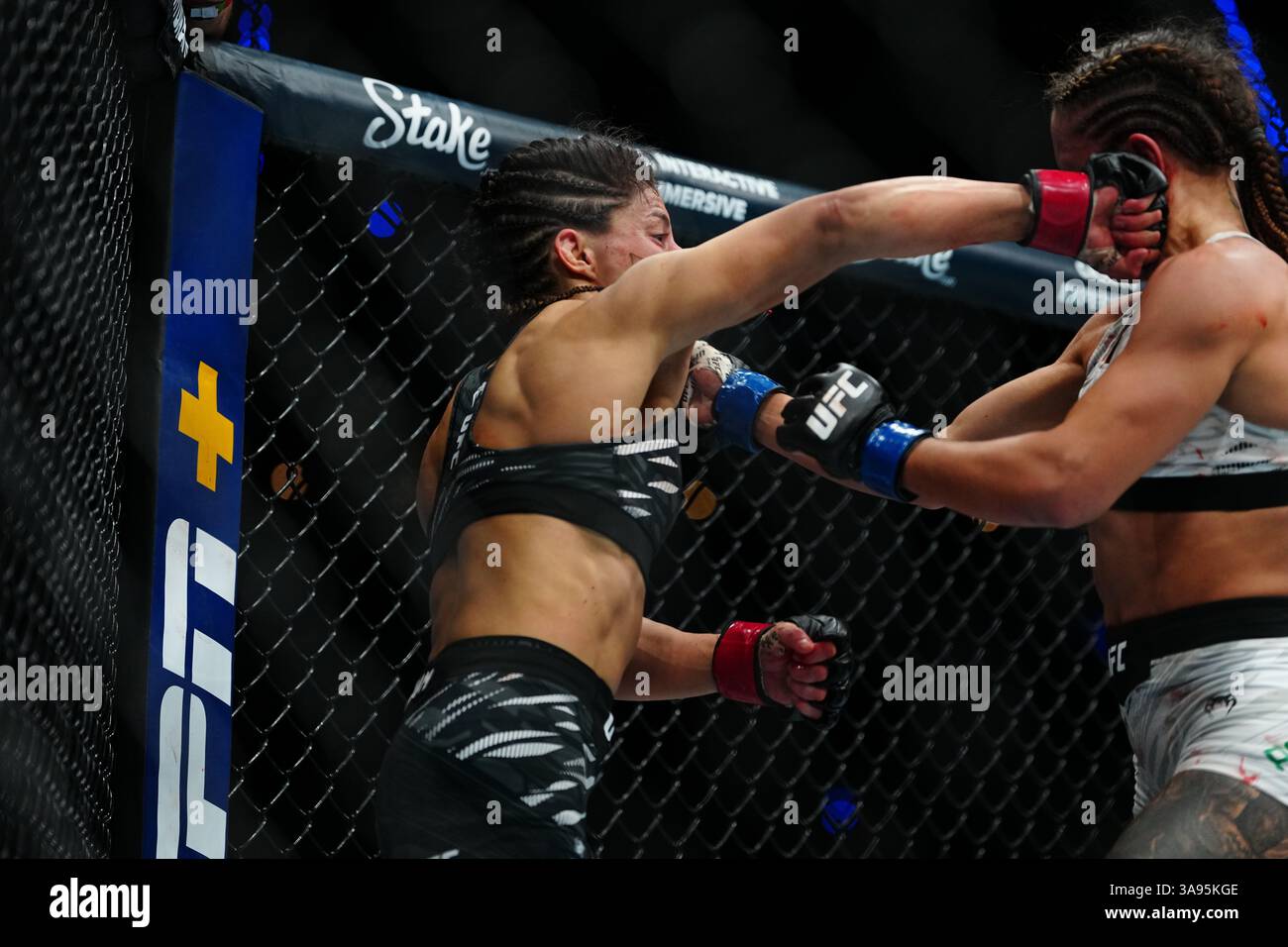 Mexico City, Mexico, United States. 29th Mar, 2025. MEXICO CITY, MEXICO ...