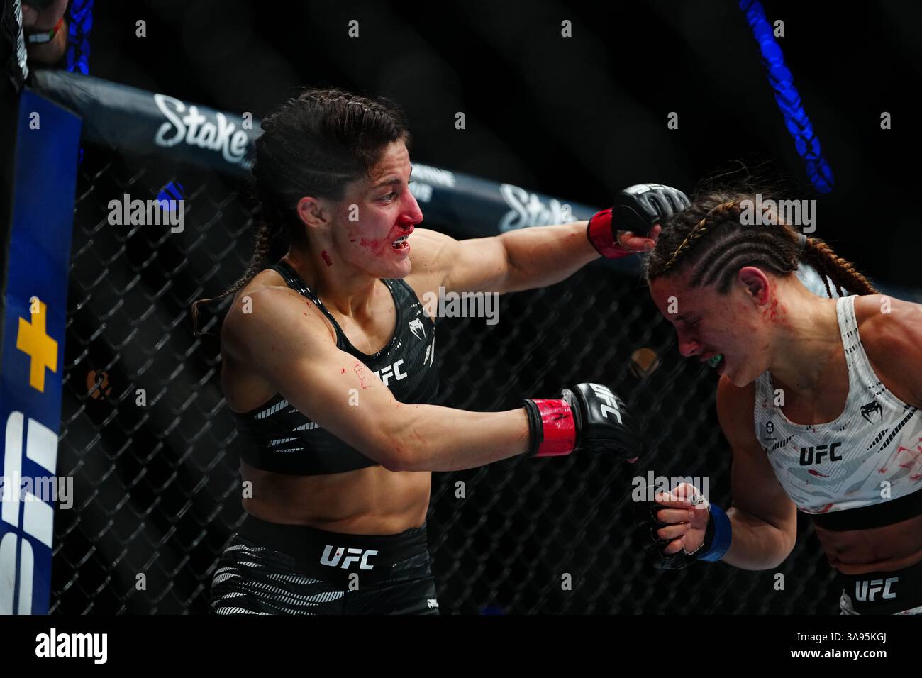 Mexico City, Mexico, United States. 29th Mar, 2025. MEXICO CITY, MEXICO ...