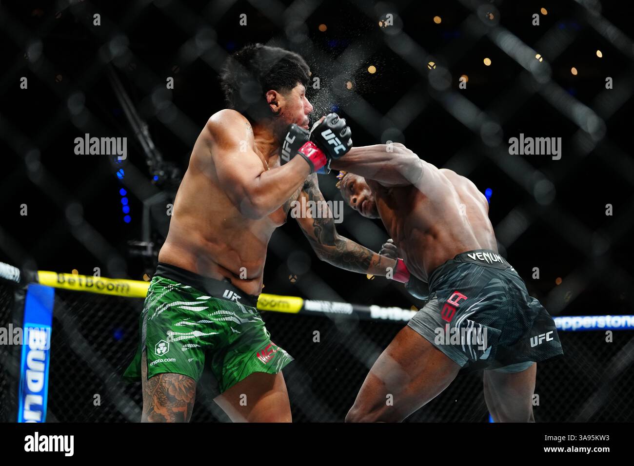 MEXICO CITY, MEXICO - MARCH 29: Jose Daniel Medina and Ateba Gautier ...