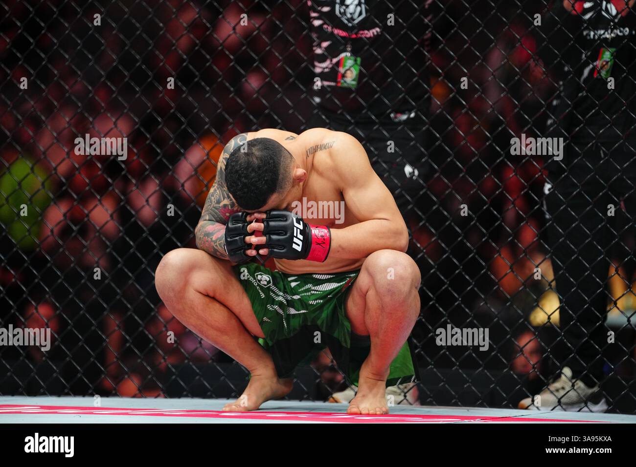 Mexico City, Mexico, United States. 29th Mar, 2025. MEXICO CITY, MEXICO ...