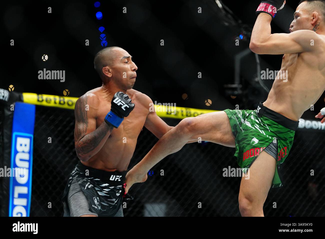 Mexico City, Mexico, United States. 29th Mar, 2025. MEXICO CITY, MEXICO ...