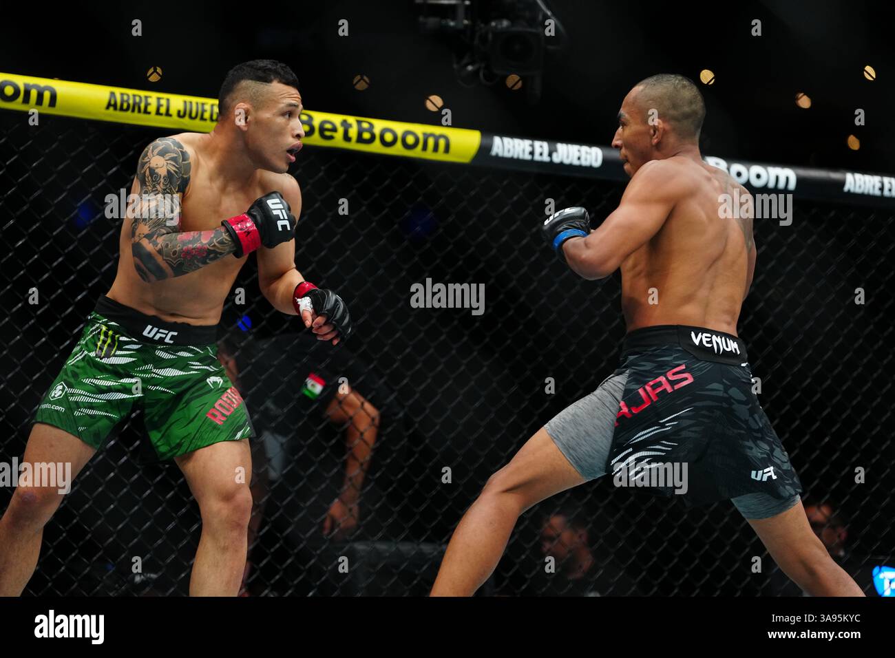 Mexico City, Mexico, United States. 29th Mar, 2025. MEXICO CITY, MEXICO ...