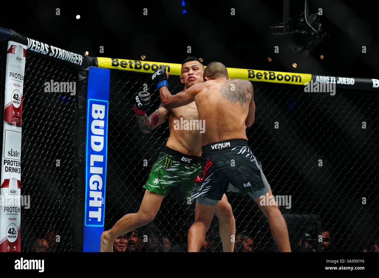 Mexico City, Mexico, United States. 29th Mar, 2025. MEXICO CITY, MEXICO ...