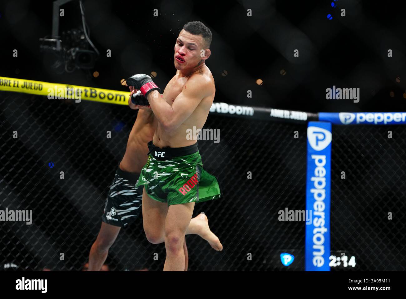 Mexico City, Mexico, United States. 29th Mar, 2025. MEXICO CITY, MEXICO ...