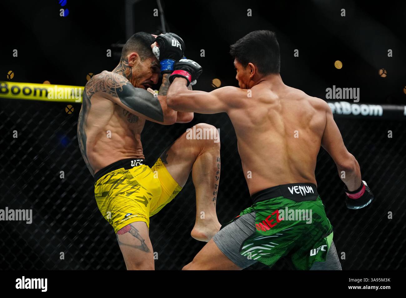 Mexico City, Mexico, United States. 29th Mar, 2025. MEXICO CITY, MEXICO ...