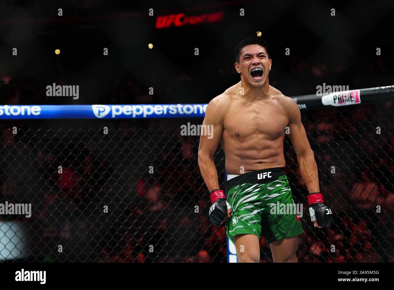MEXICO CITY, MEXICO - MARCH 29: David Martinez and Saimon Oliveira meet ...