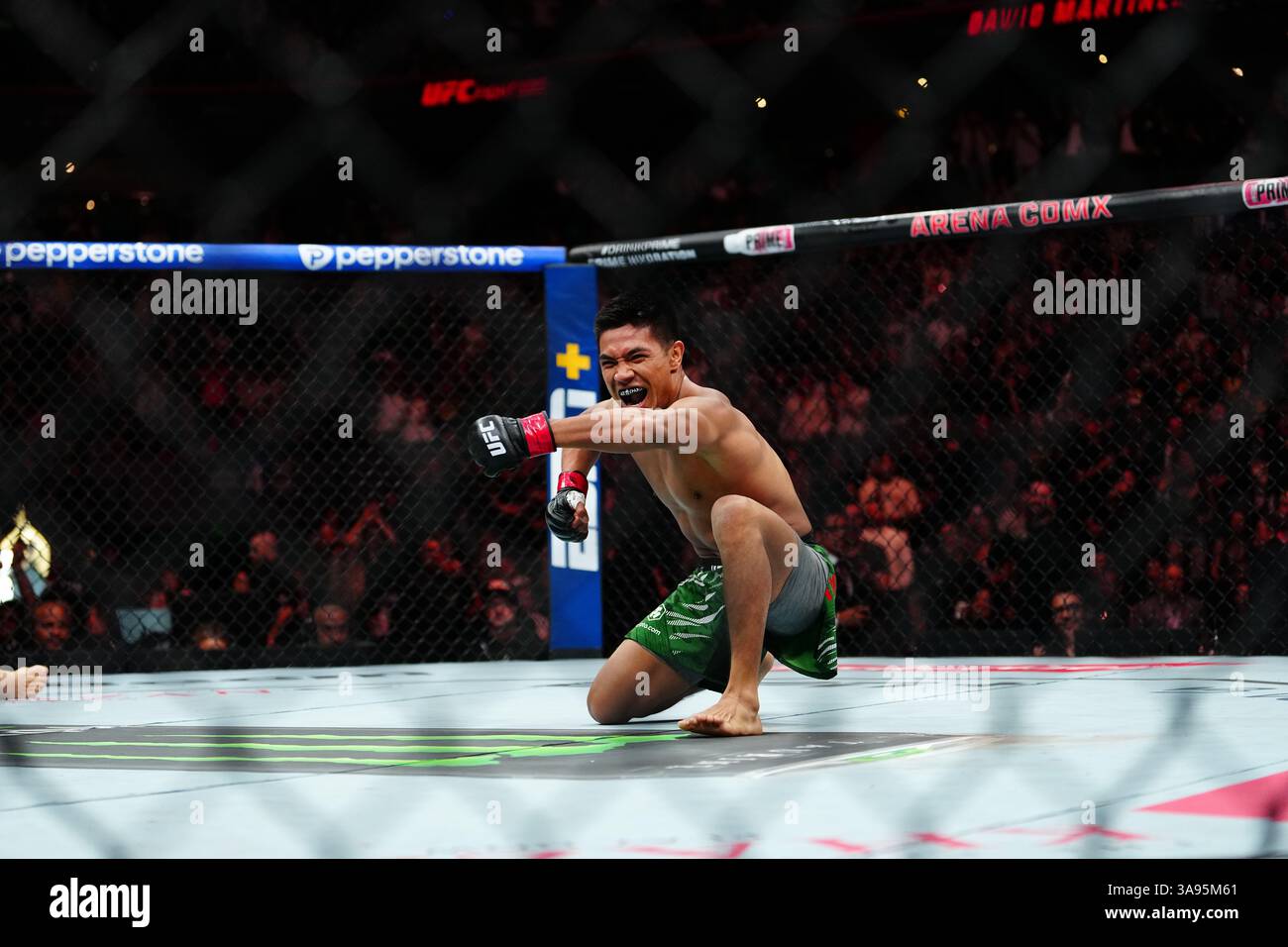 MEXICO CITY, MEXICO - MARCH 29: David Martinez and Saimon Oliveira meet in the octagon for a 3 ...