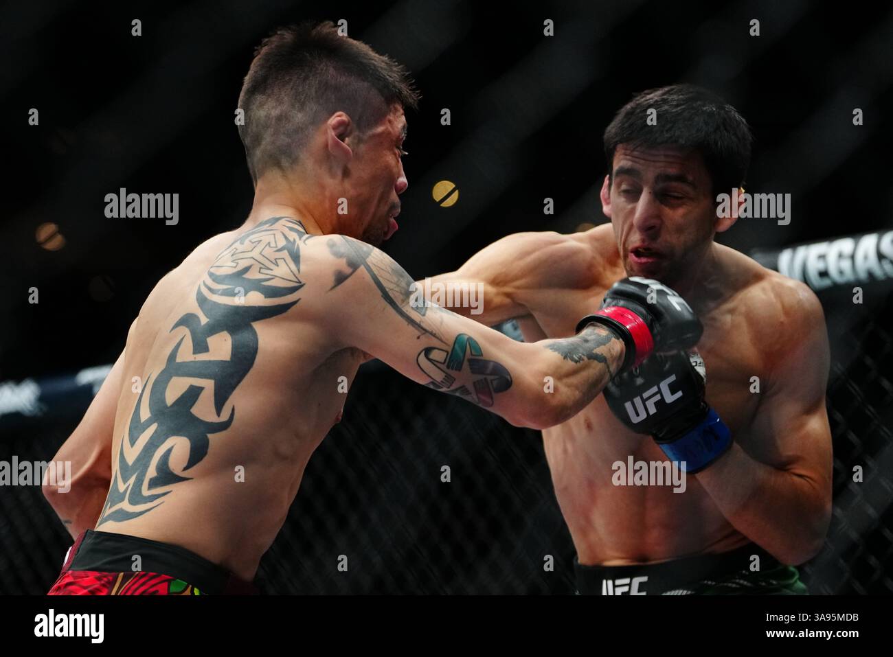 MEXICO CITY, MEXICO - MARCH 29: Brandon Moreno and Steve Erceg meet in ...