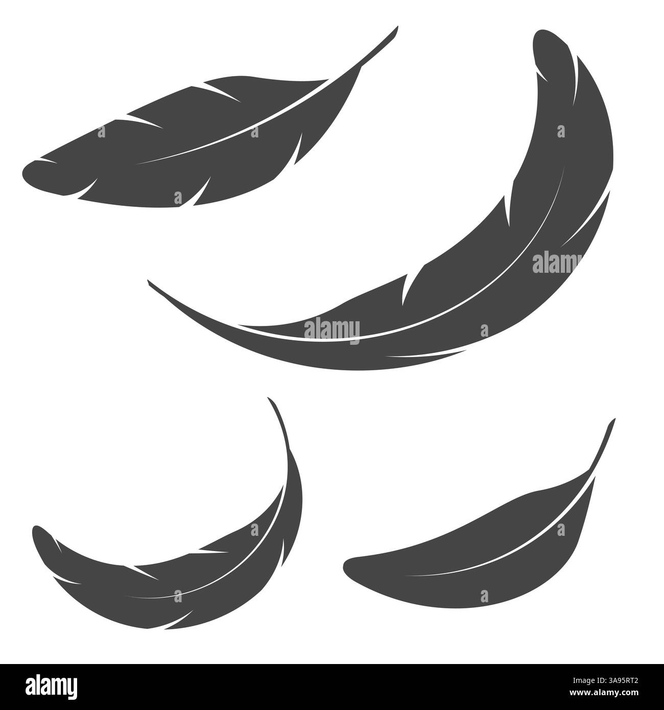 A set of curved flying bird feathers. Flat vector illustration isolated ...
