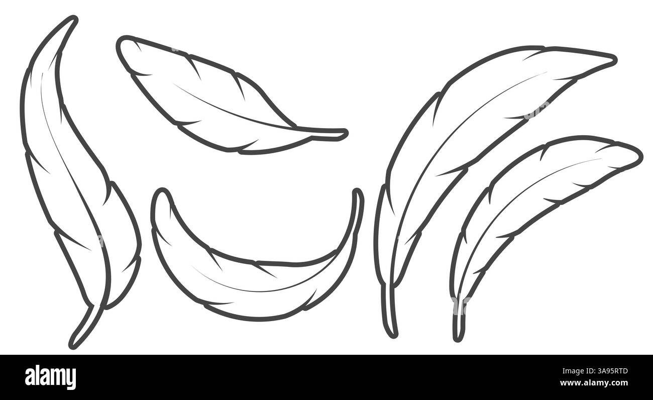 A set of curved flying bird feathers. Line icons. Flat vector ...