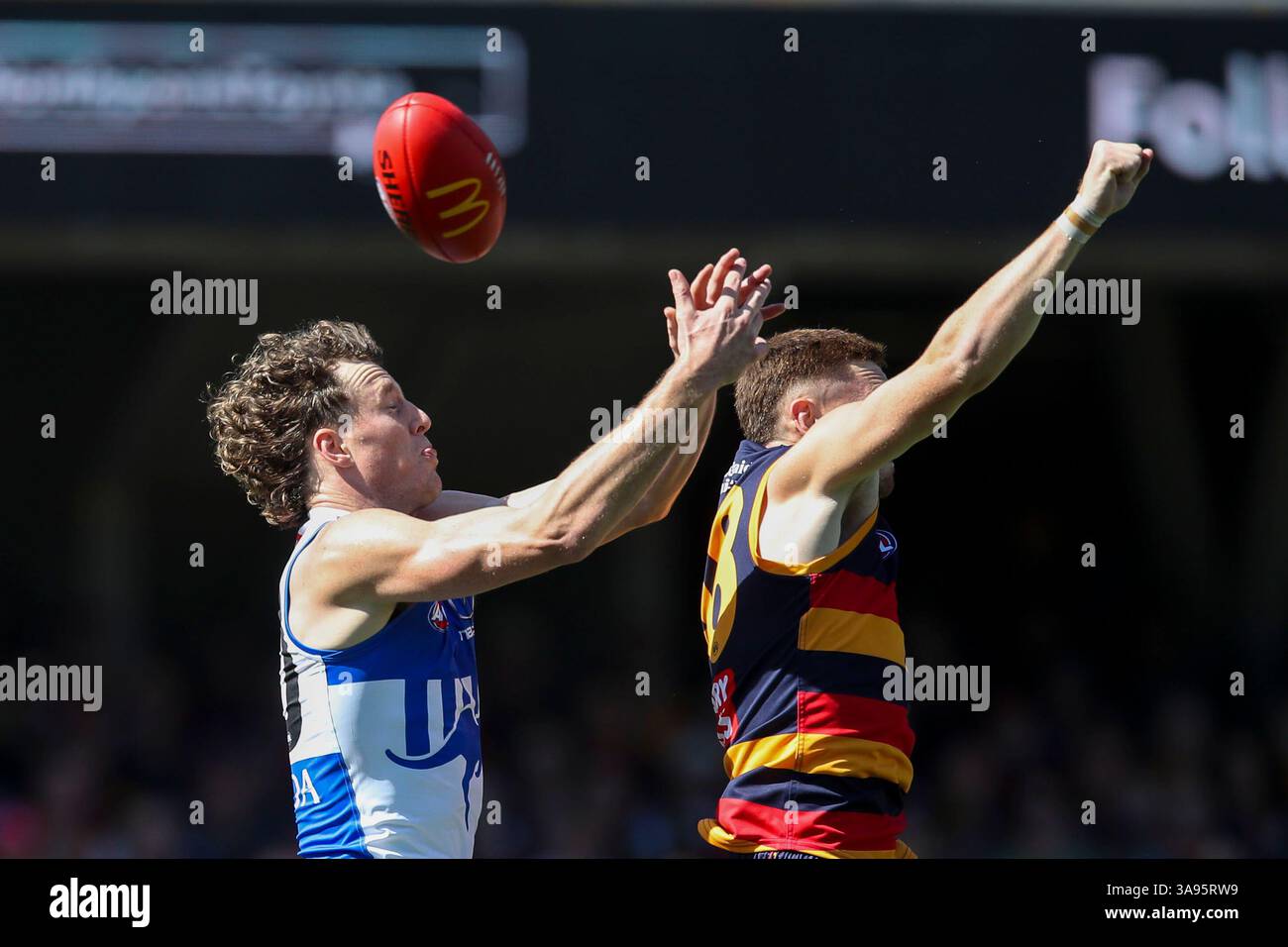 Nick Larkey of the Kangaroos and Mark Keane of the Crows compete for ...