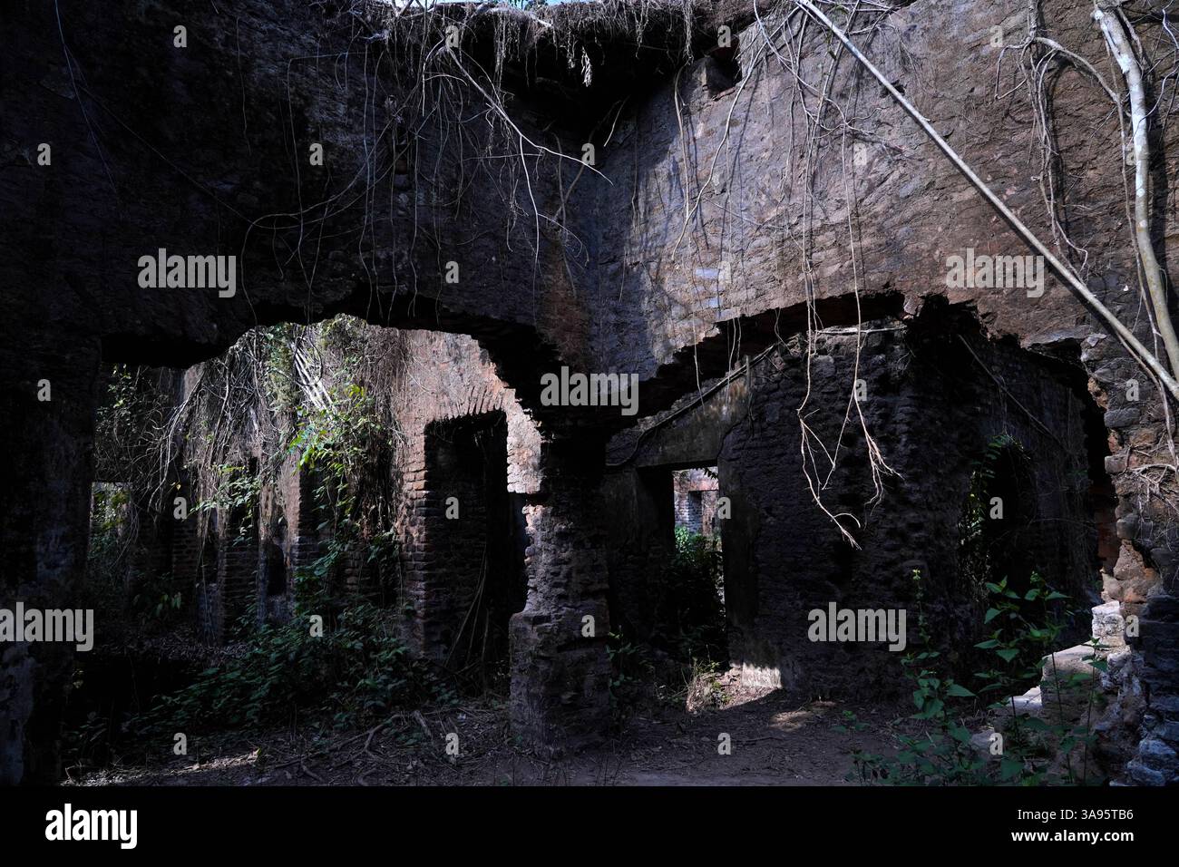 Zamindar bari hi-res stock photography and images - Alamy