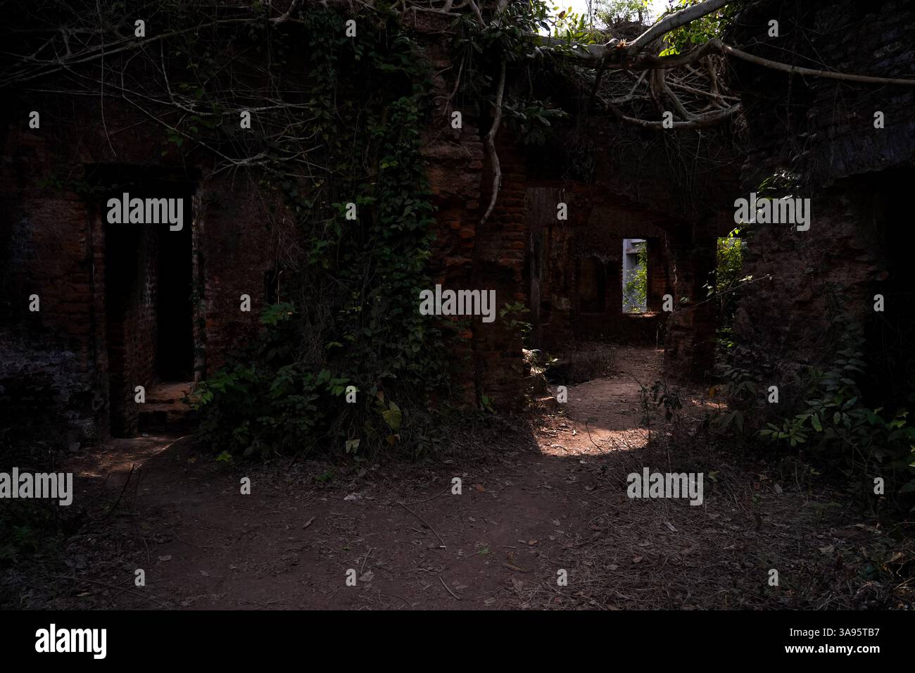 Zamindar bari hi-res stock photography and images - Alamy