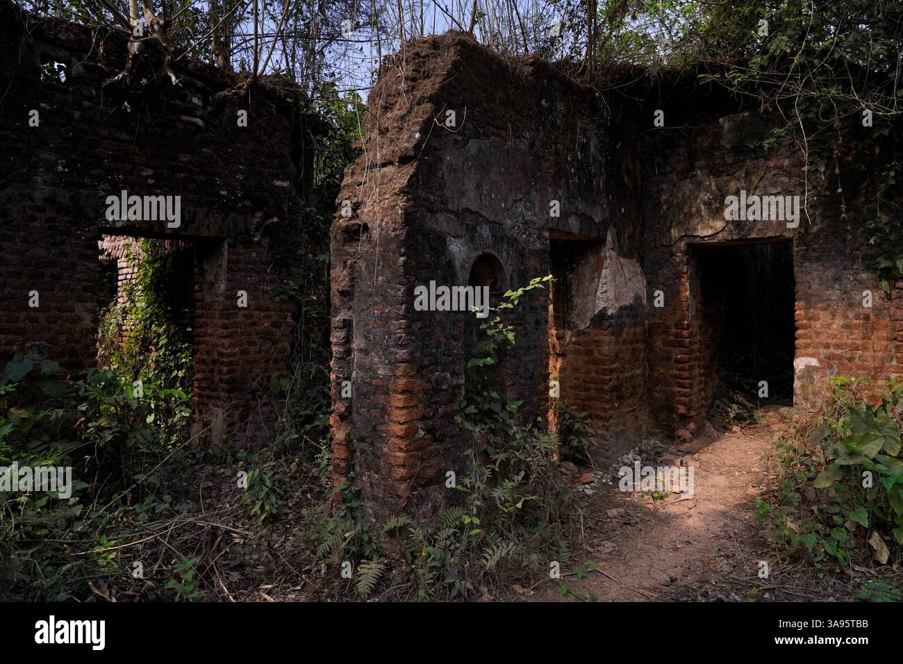 Zamindar bari hi-res stock photography and images - Alamy