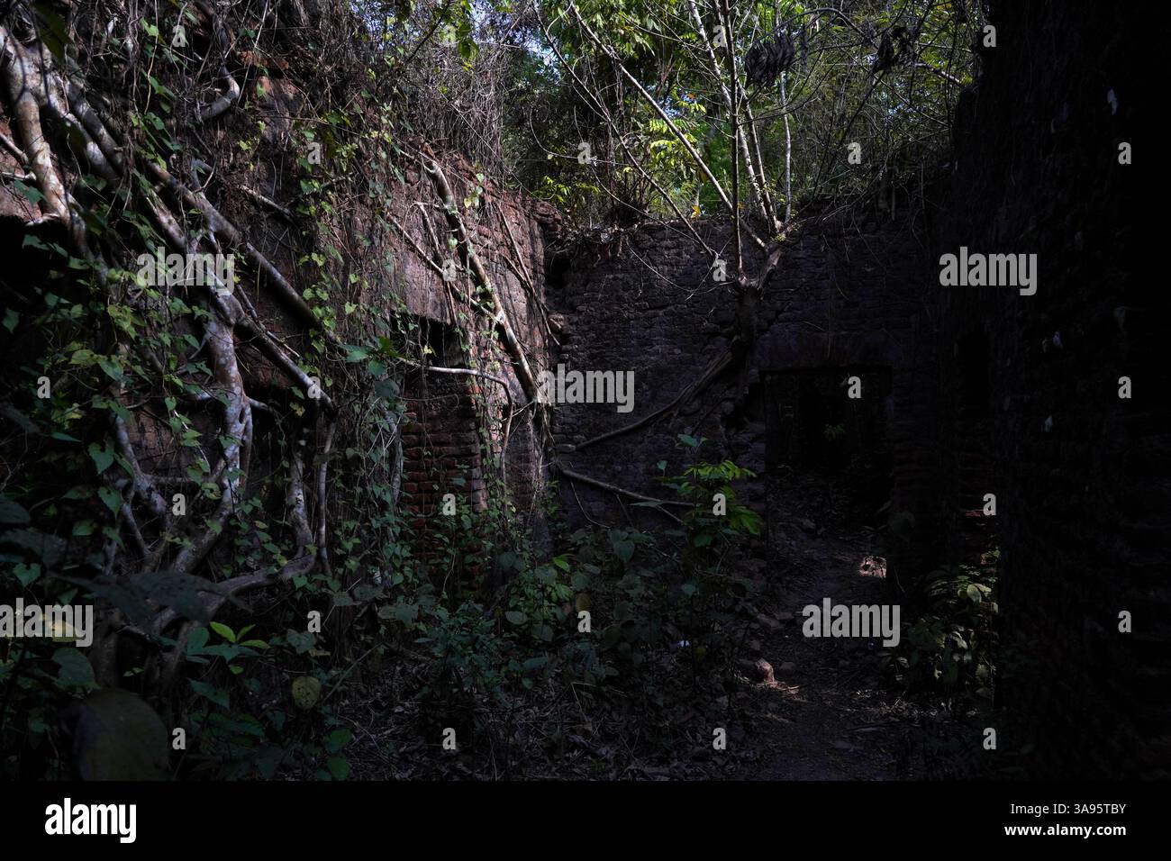 Zamindar bari hi-res stock photography and images - Alamy