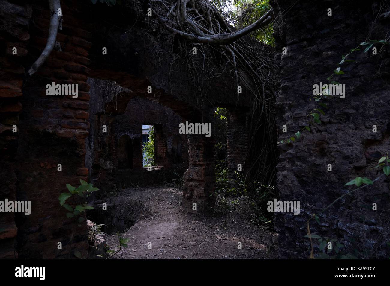 Zamindar bari hi-res stock photography and images - Alamy