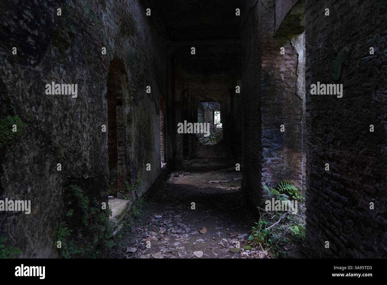 Zamindar bari hi-res stock photography and images - Alamy