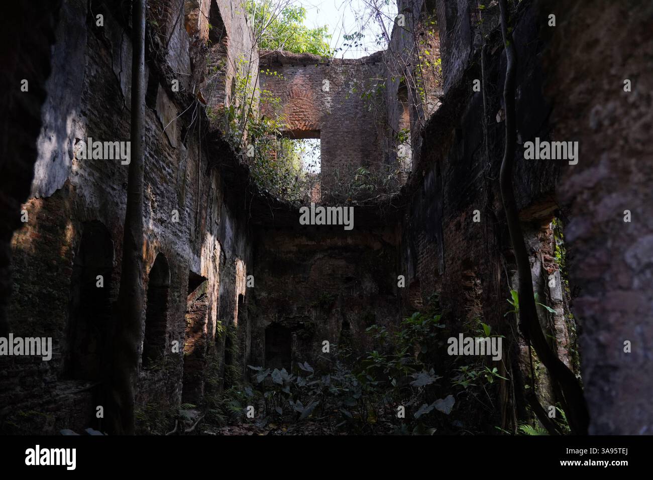 Zamindar bari hi-res stock photography and images - Alamy