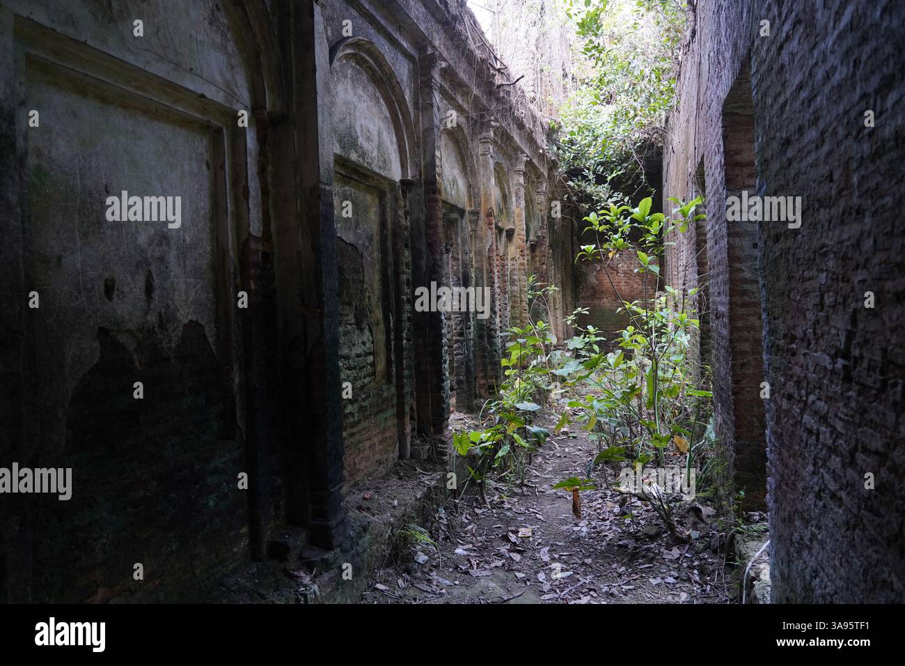 Zamindar bari hi-res stock photography and images - Alamy