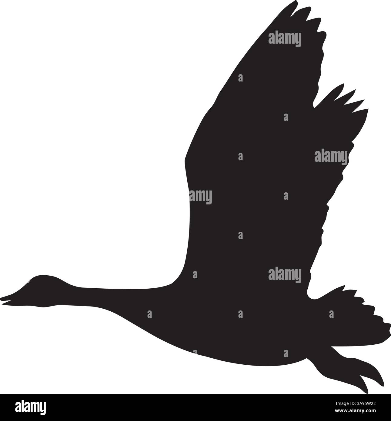 Silhouette set hawk on Stock Vector Images - Alamy